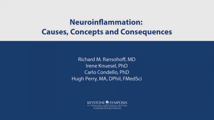 Neuroinflammation: Causes, Concepts and Consequences