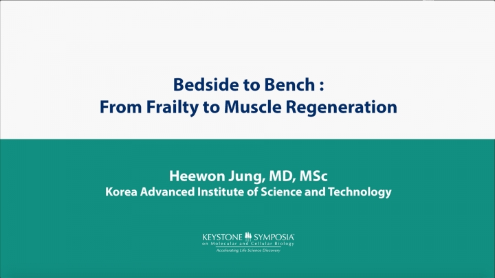 Bedside to Bench: From Frailty to Muscle Regeneration