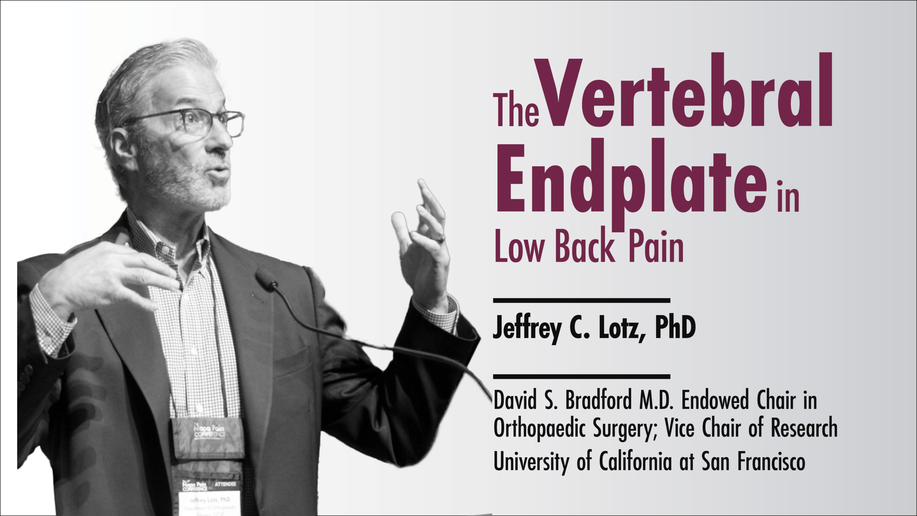 The Vertebral End Plate in Low Back Pain