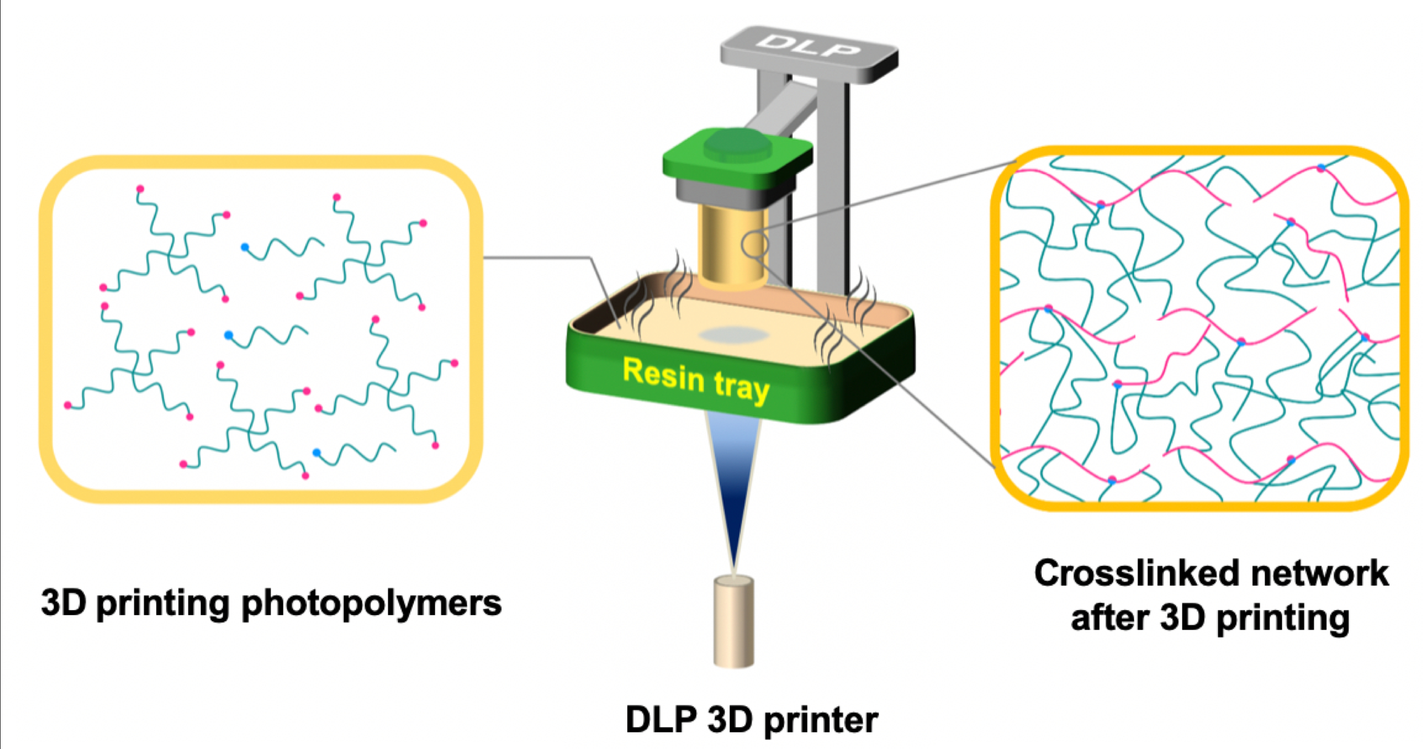 Digital light 3D printing of biodegradable photopolymers with tunable elastomeric properties
