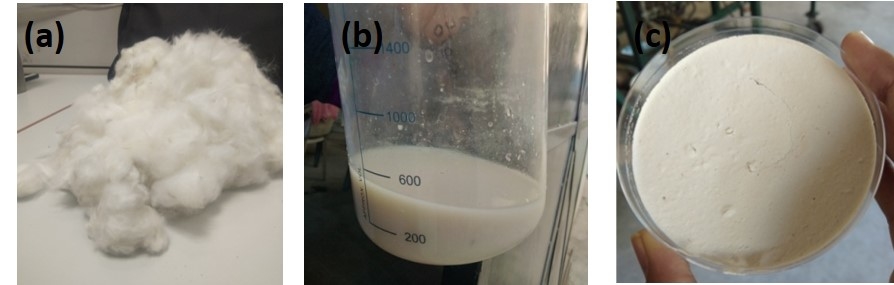 Study of cellulose extraction, derivatization, and nanocrystal formation