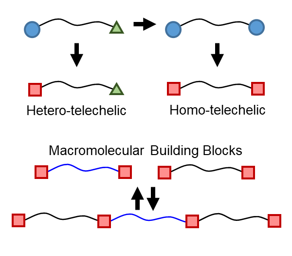 Telechelic polyolefins: Model materials to improve recycling pathways