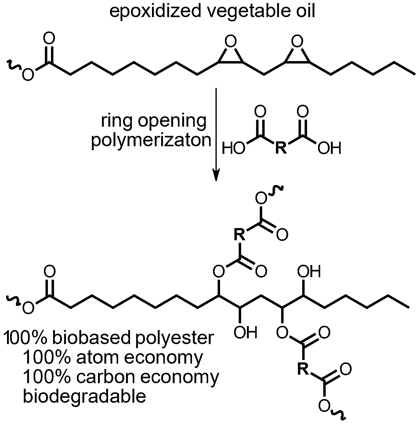 Vegetable Oil Structure