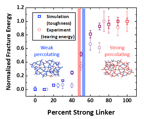 Polymer Network Fracture As A Reactivity Determined De Percolation Process