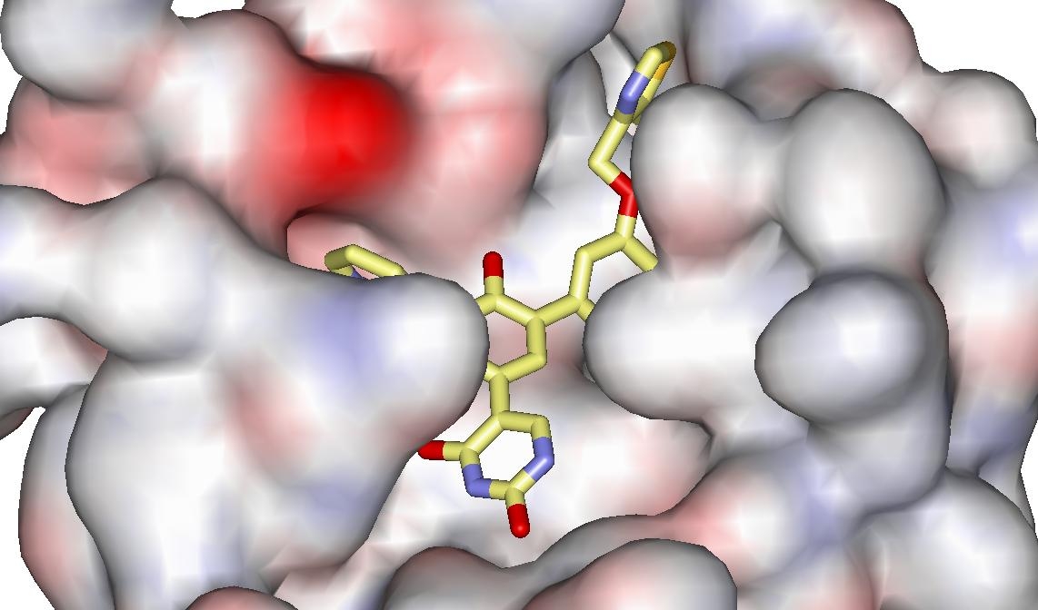 ACS Fall 2023 - Current & Upcoming Schedule