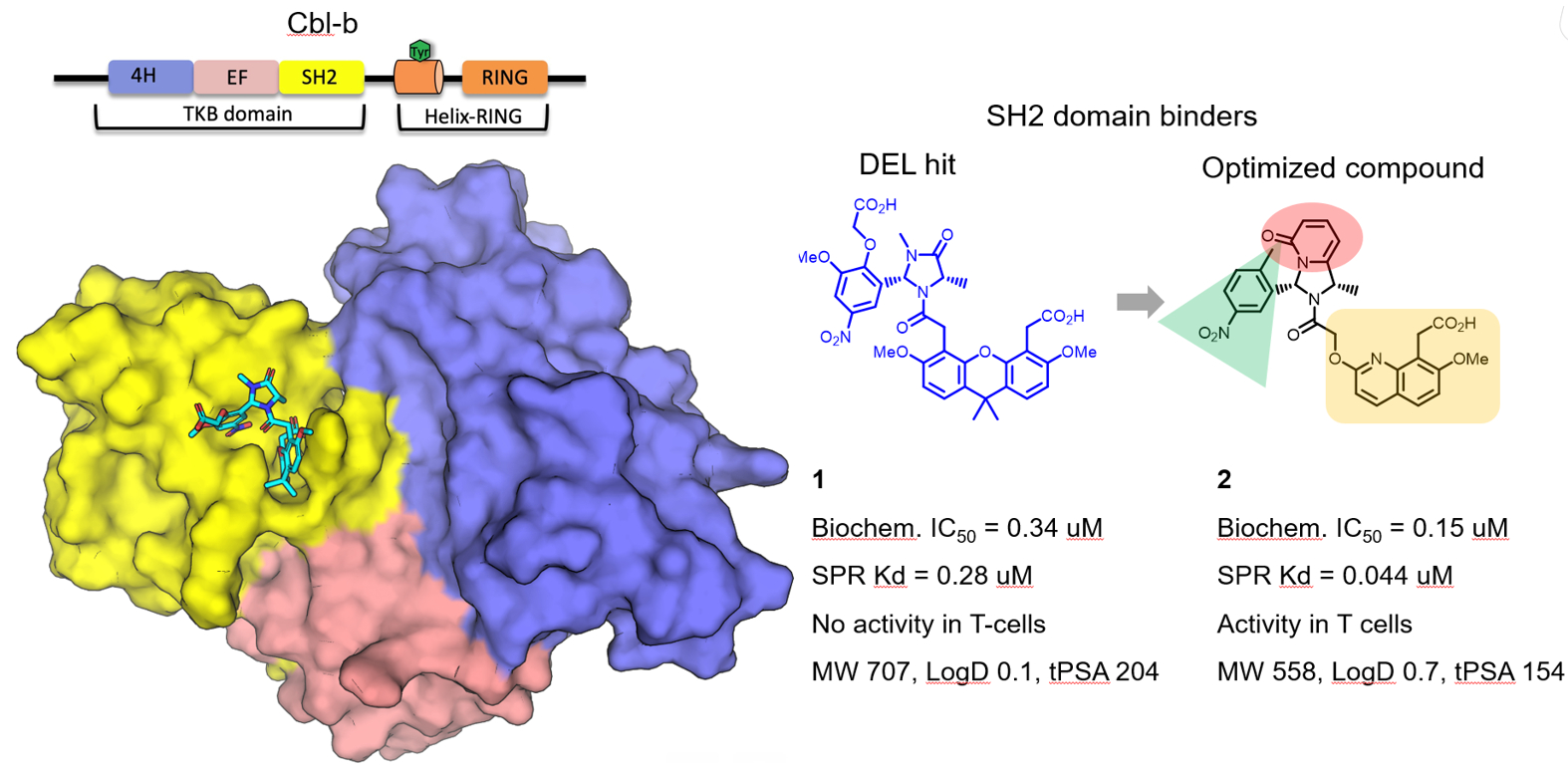 ACS Fall 2023 - Current & Upcoming Schedule