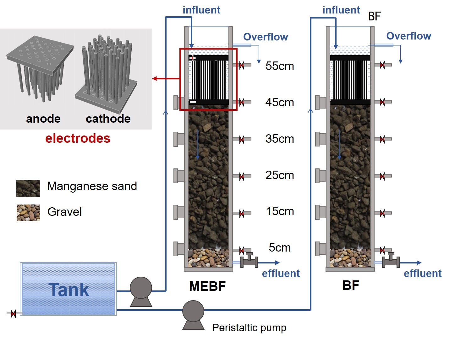 Metagenomic unravels the microbiome response of microbial ...