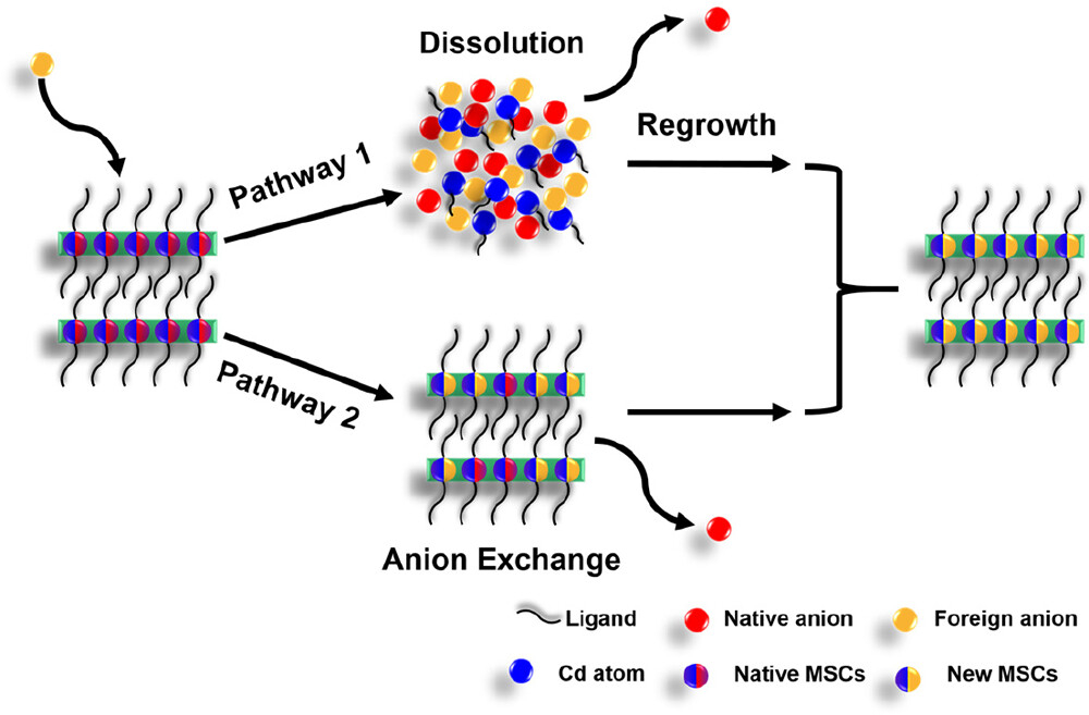 ACS Fall 2023 - Current & Upcoming Schedule