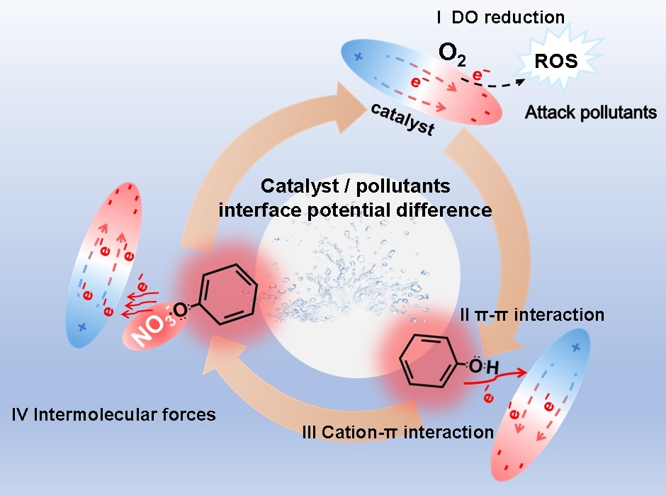 Salinity-mediated interface process between pollutants and catalyst to ...