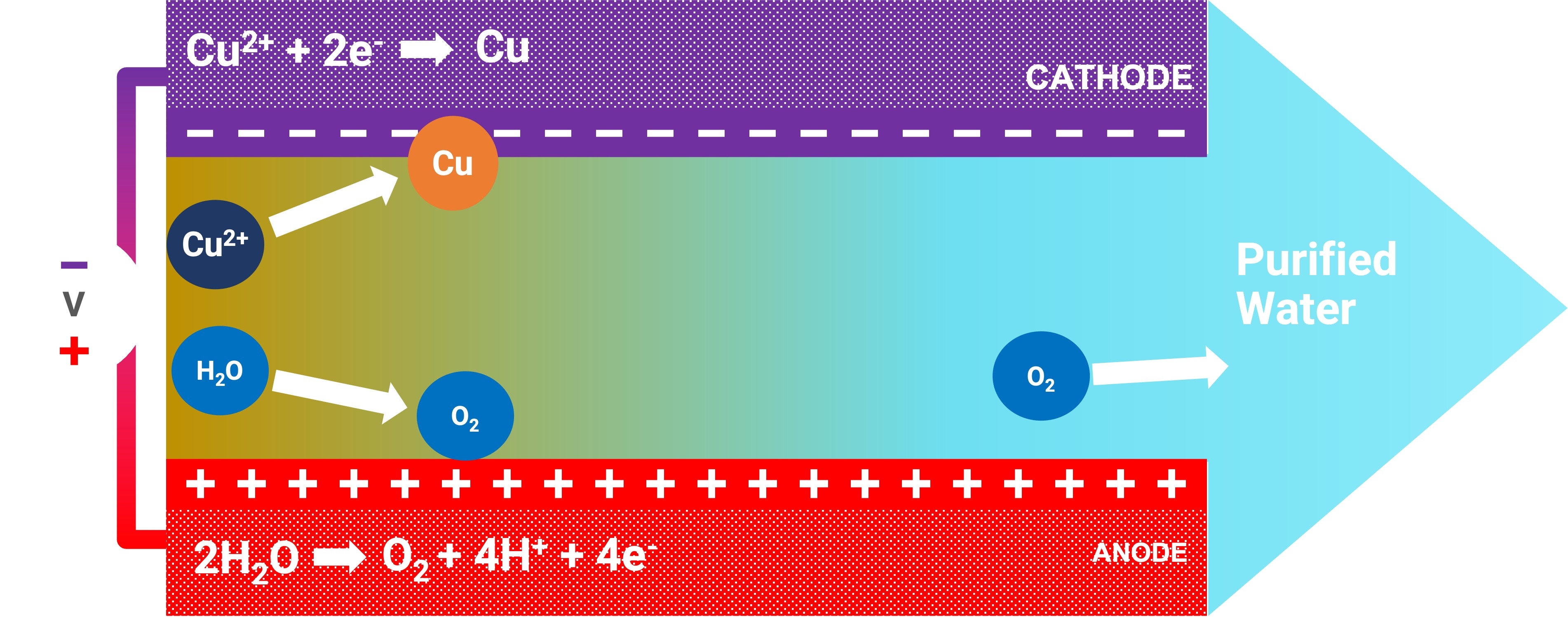 ACS Fall 2023 - Current & Upcoming Schedule