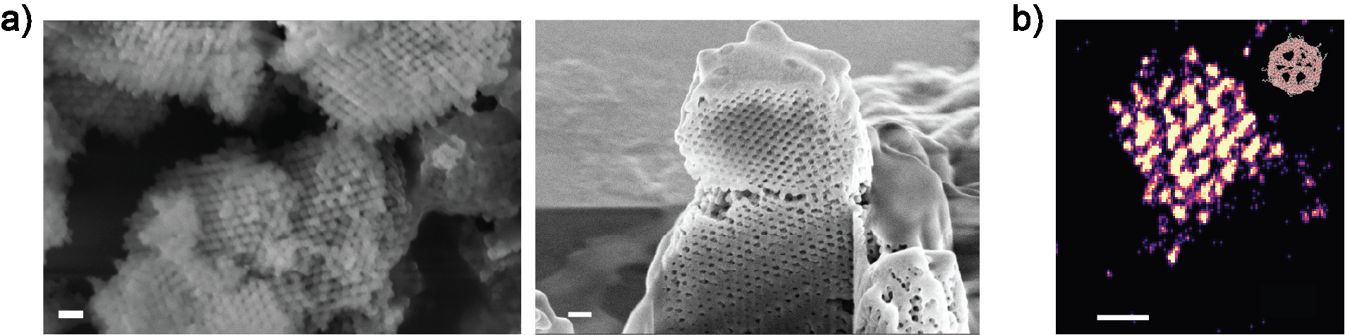 ACS Fall 2023 - Current & Upcoming Schedule