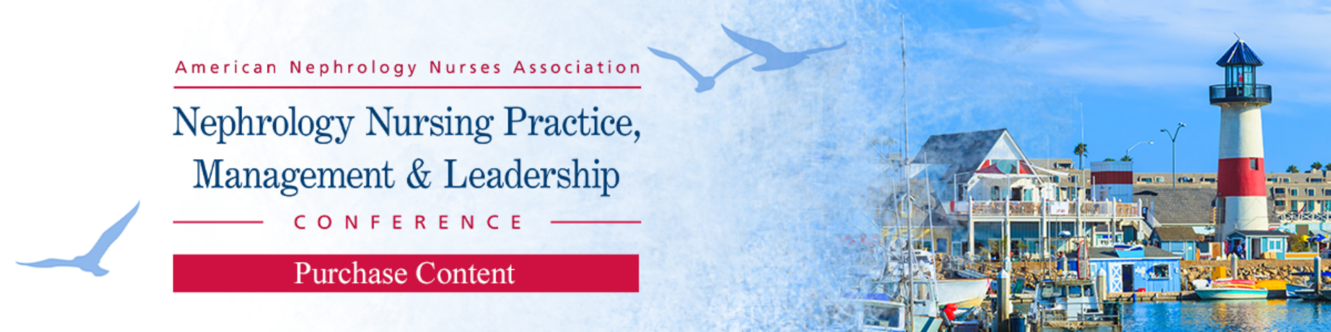 American Nephrology Nurses Association