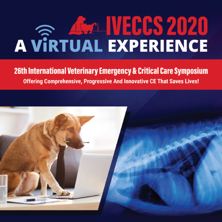 Veterinary Emergency and Critical Care Society