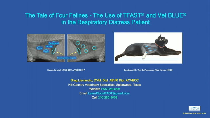Veterinary Emergency and Critical Care Society